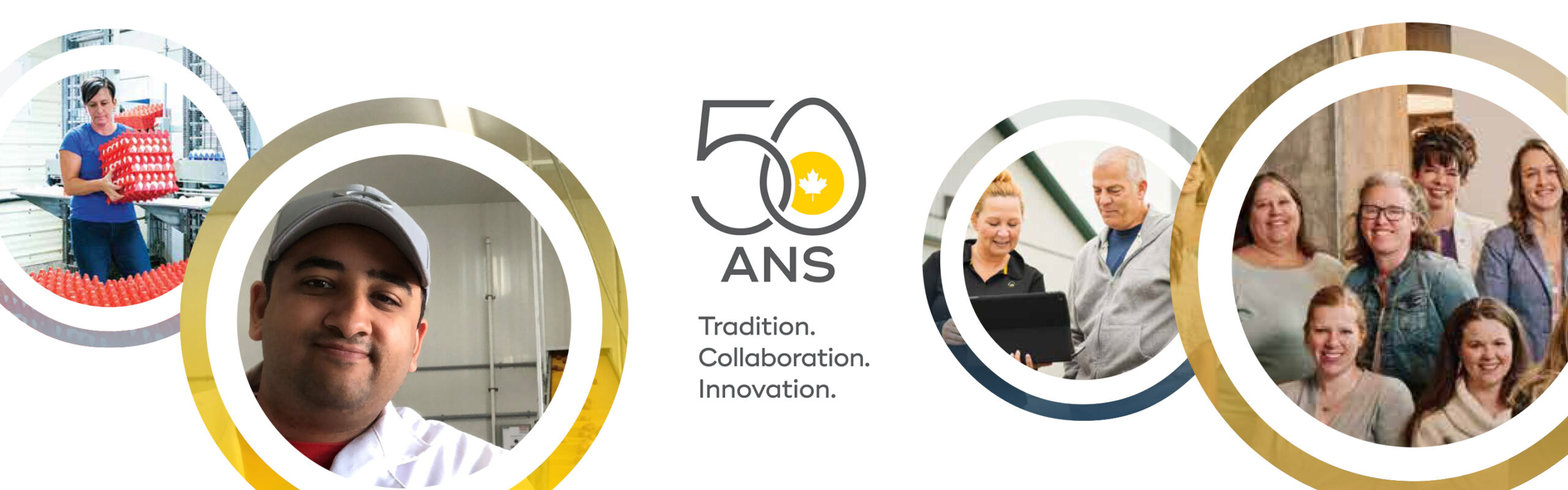 Visionnez notre série de vidéos consacrées à notre 50e anniversaire | Les Producteurs d’œufs du ...